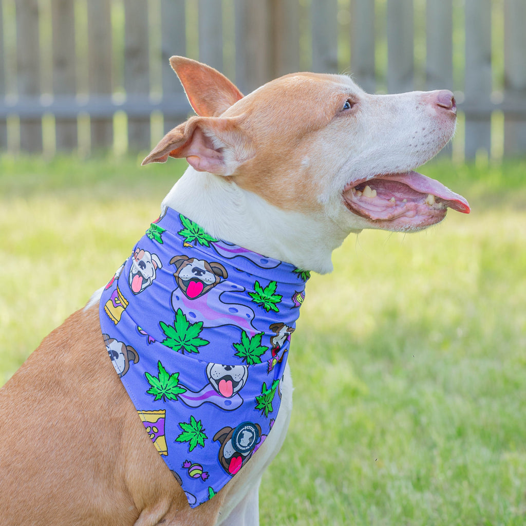 Ruff Ruff Pass Bandana – Pittie Clothing Co.