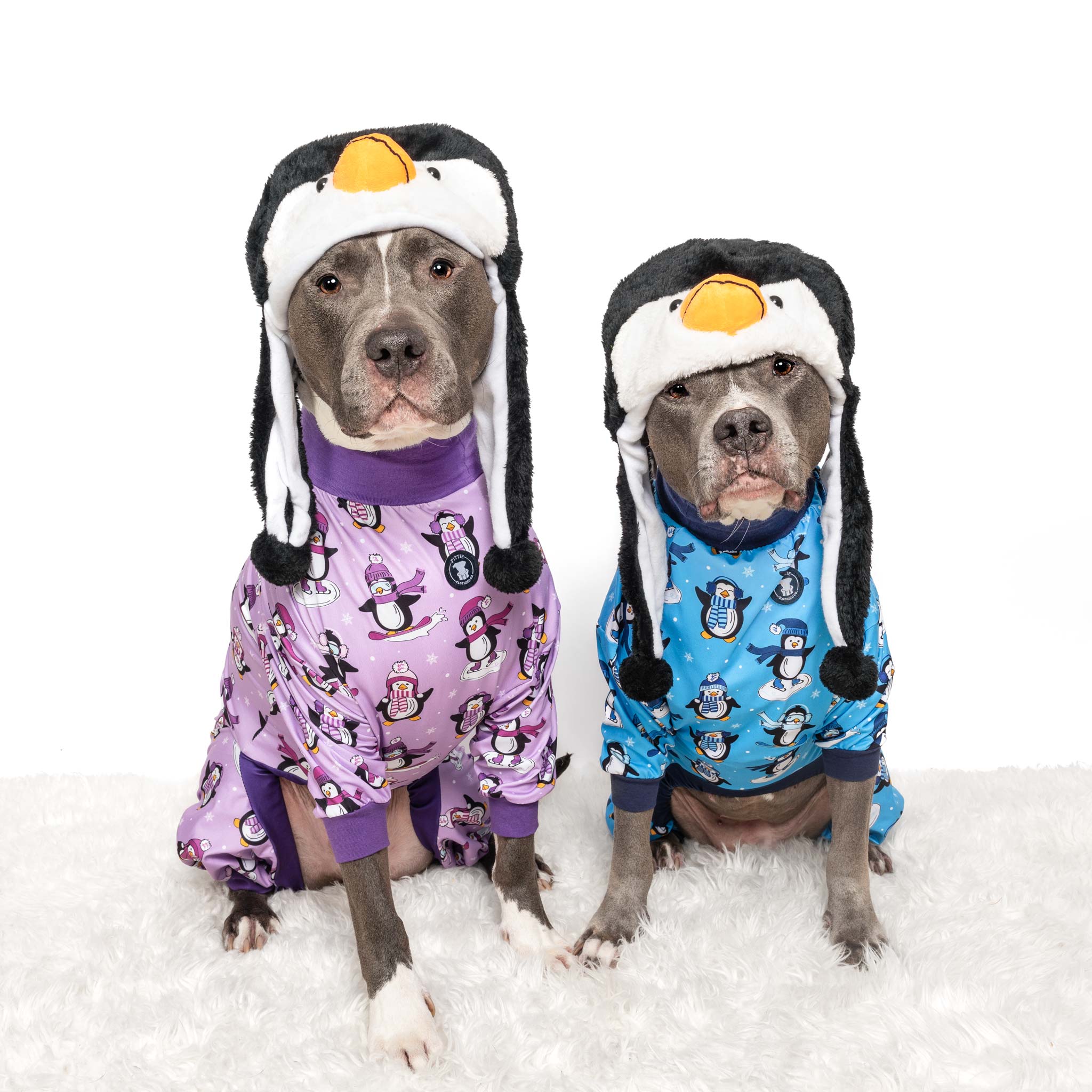 End of Winter Sale – Pittie Clothing Co.