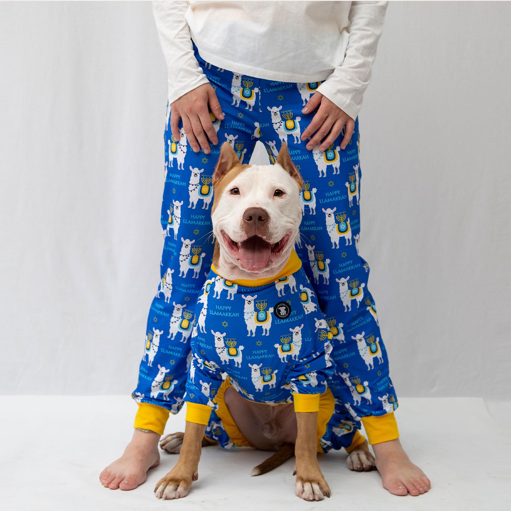 Hanukkah – Tagged "meta-size-chart-pitbull-sizing-chart"– Pittie ...