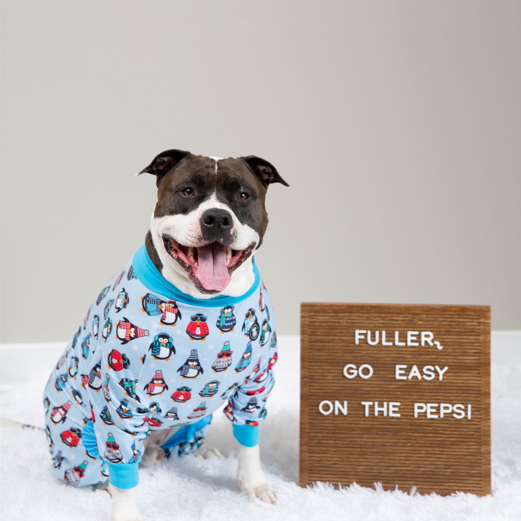 Penguins – Tagged "meta-size-chart-pitbull-sizing-chart"– Pittie ...