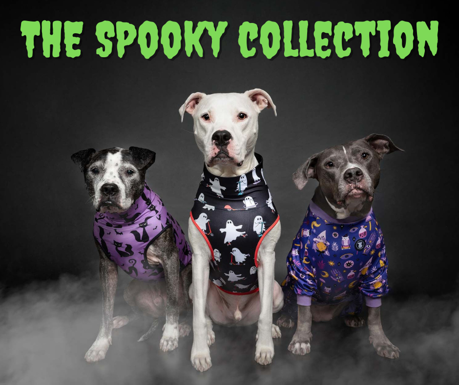 Halloween 2024 – Pittie Clothing Co.