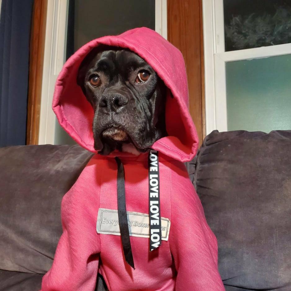 Famous Boxer Sweatsuit 2.0- Pink – Pittie Clothing Co.