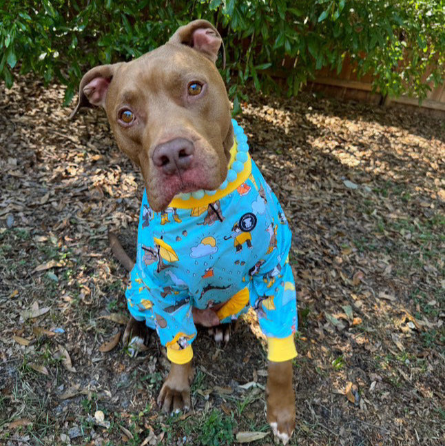 'It's Raining Pitties' Pitbull Pajamas- Blue – Pittie Clothing Co.