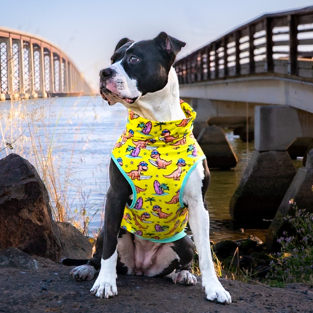 Hang Ten-a-saurus Muscle Tee- FINAL SALE – Pittie Clothing Co.