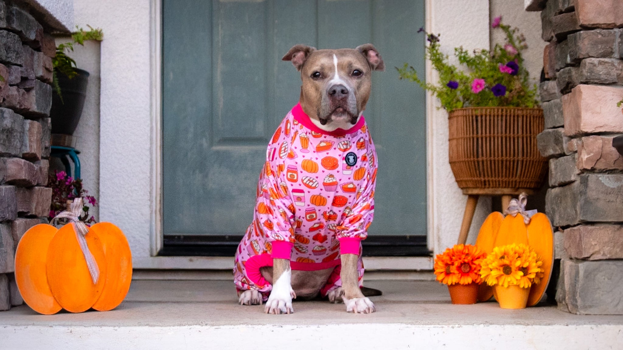 Pitbull Clothing | Clothing for Bully Breeds – Pittie Clothing Co.
