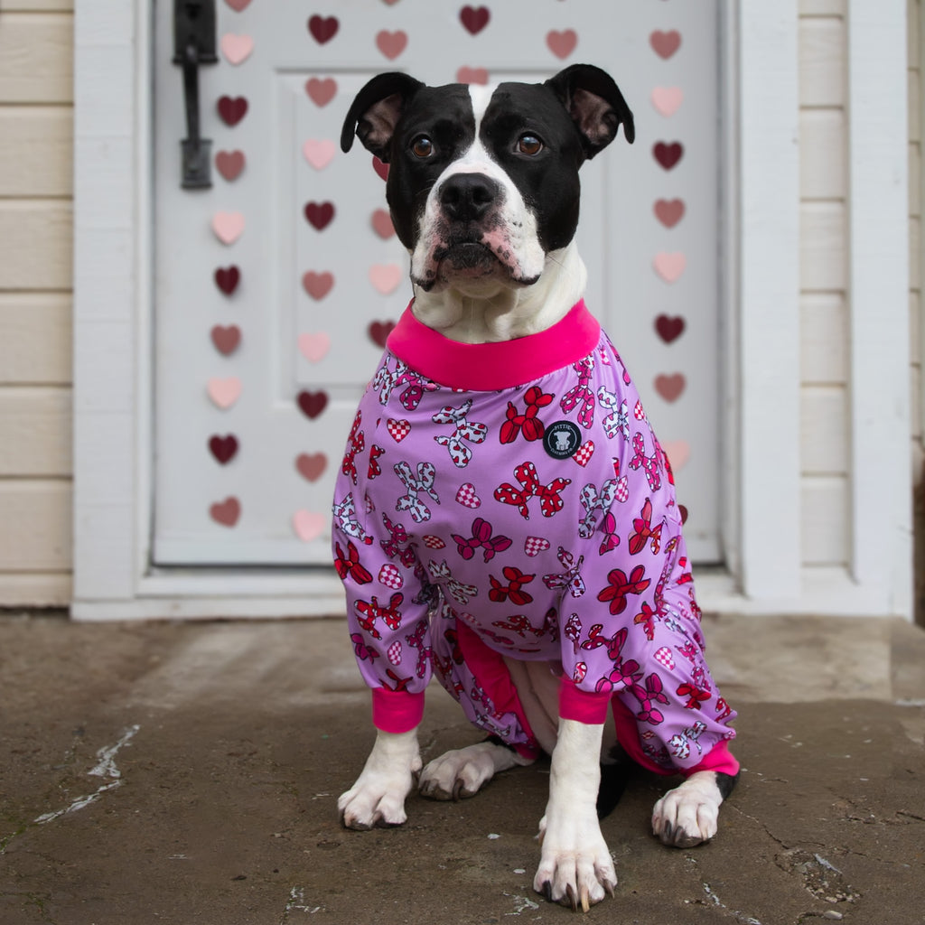Heartbreaker Hound Pitbull Pajamas – Pittie Clothing Co.