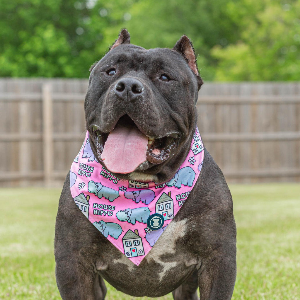 Pink 'Pitty-potamus' Bandana – Pittie Clothing Co.