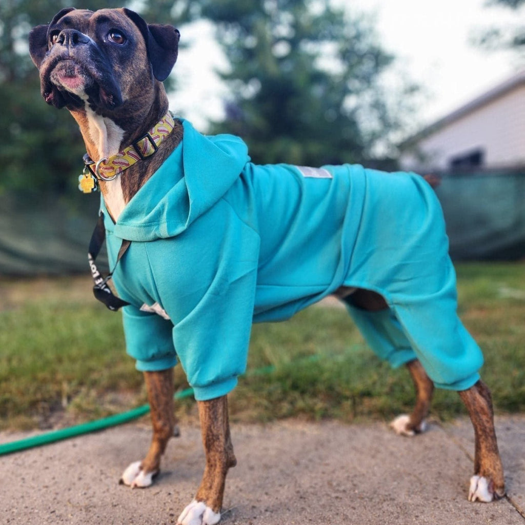 Famous Boxer Sweatsuit 2.0- Teal – Pittie Clothing Co.