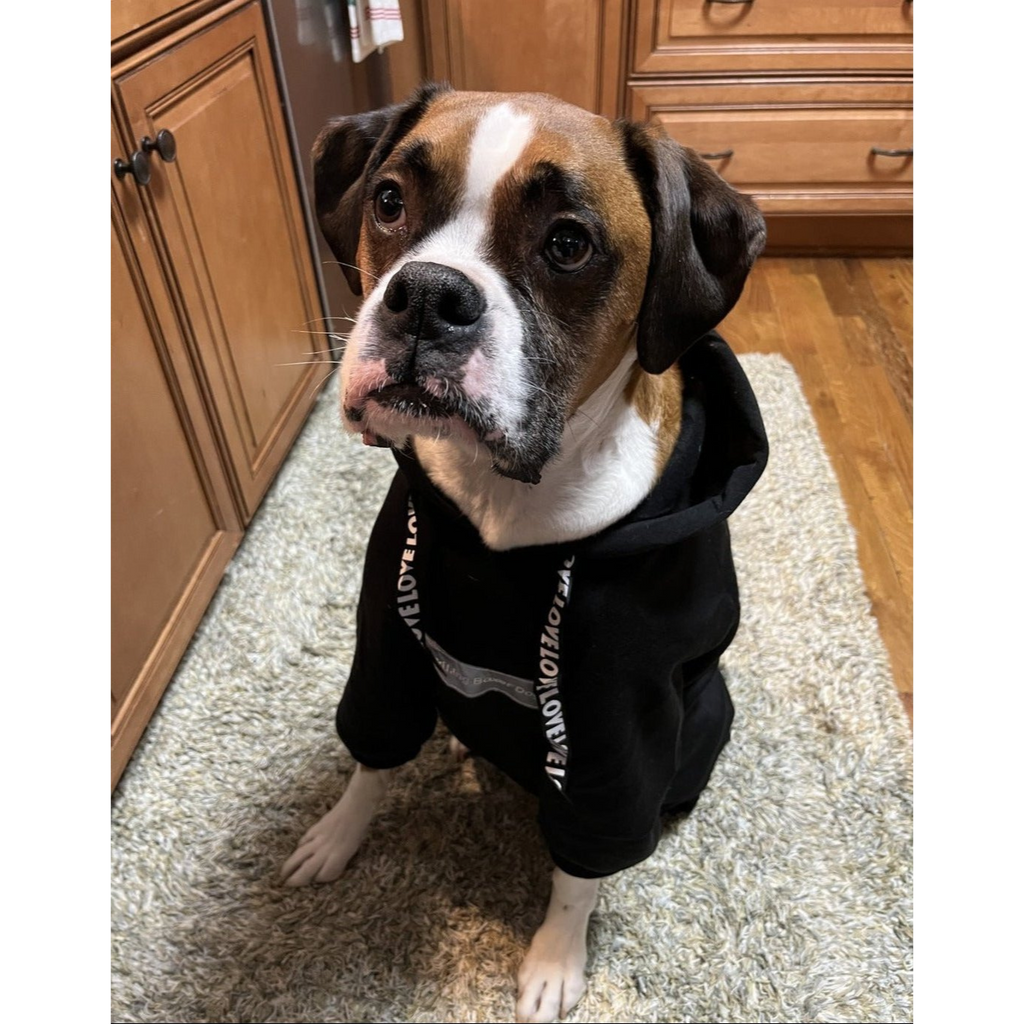 Famous Boxer Sweatsuit 2.0- Black – Pittie Clothing Co.