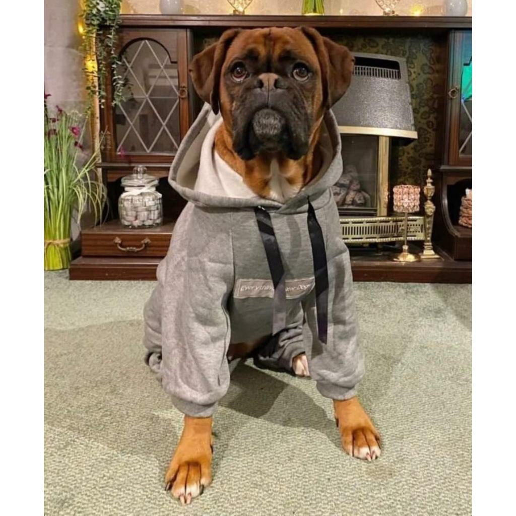 Famous Boxer Sweatsuit 2.0- Gray – Pittie Clothing Co.